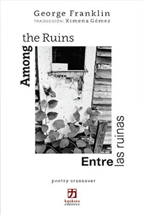 Among the Ruins - George Franklin